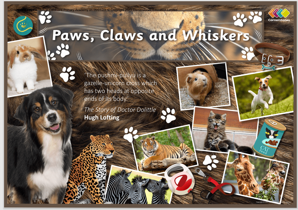 1B - Caldmore Primary Academy